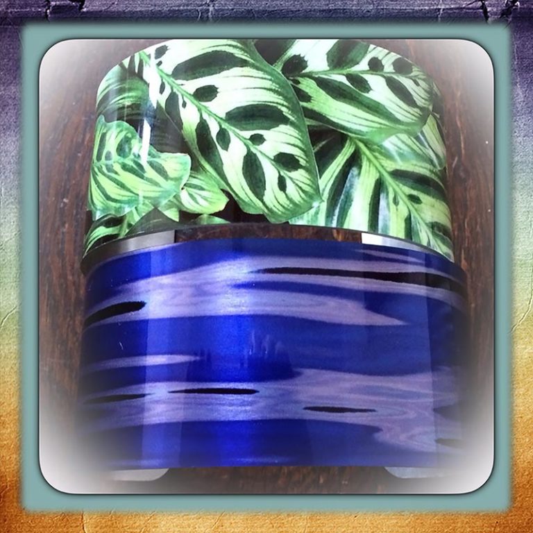 Set 2C No Blue No Green #2 - Anne Doubilet